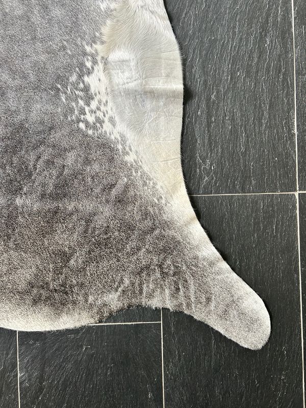 Kuhfell Grey - anthrazit Gr. 2/3 (S/M) - Fell-Shop.ch
